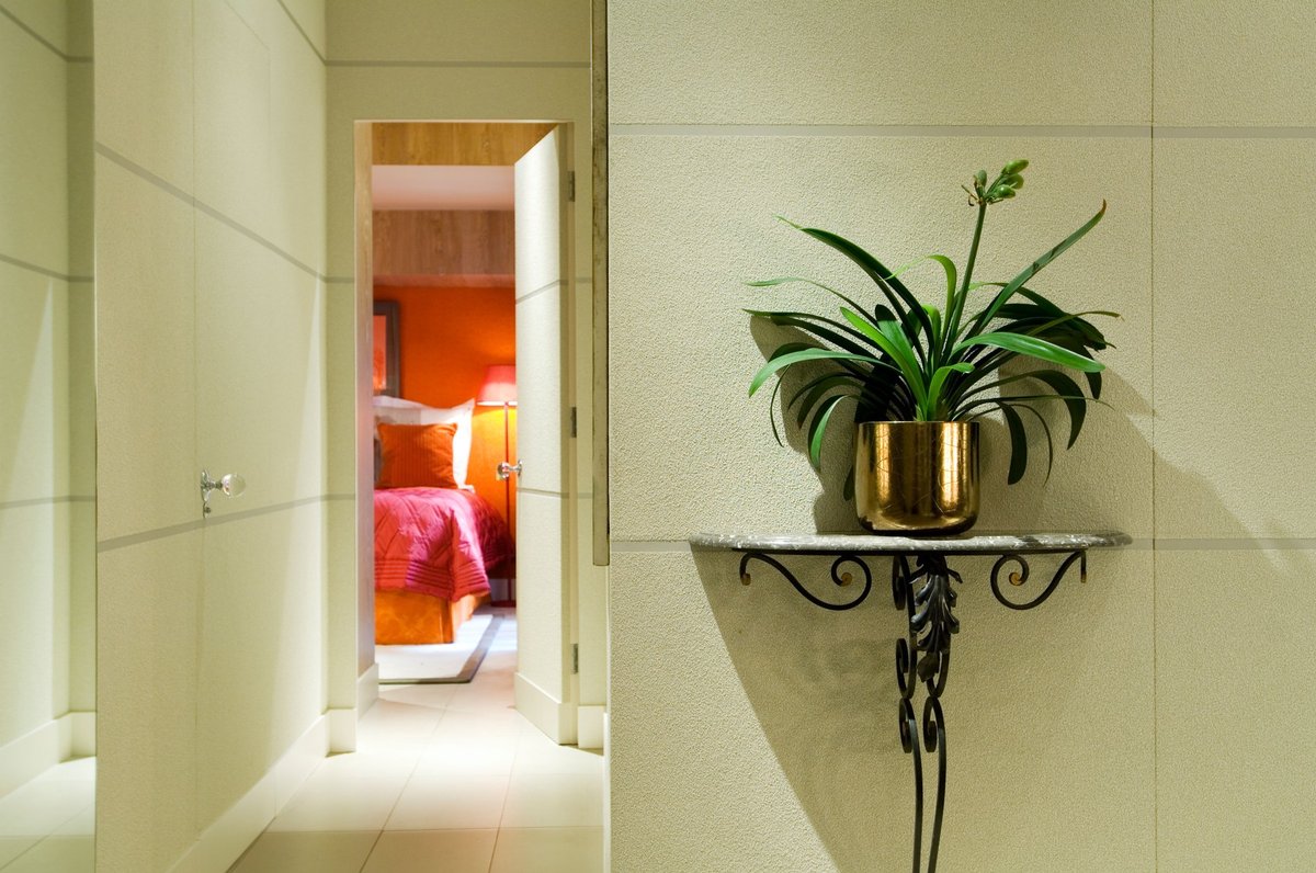 Deset pravil feng šuja za čiščenje hiše, ki naj bi pritegnila srečo in ...