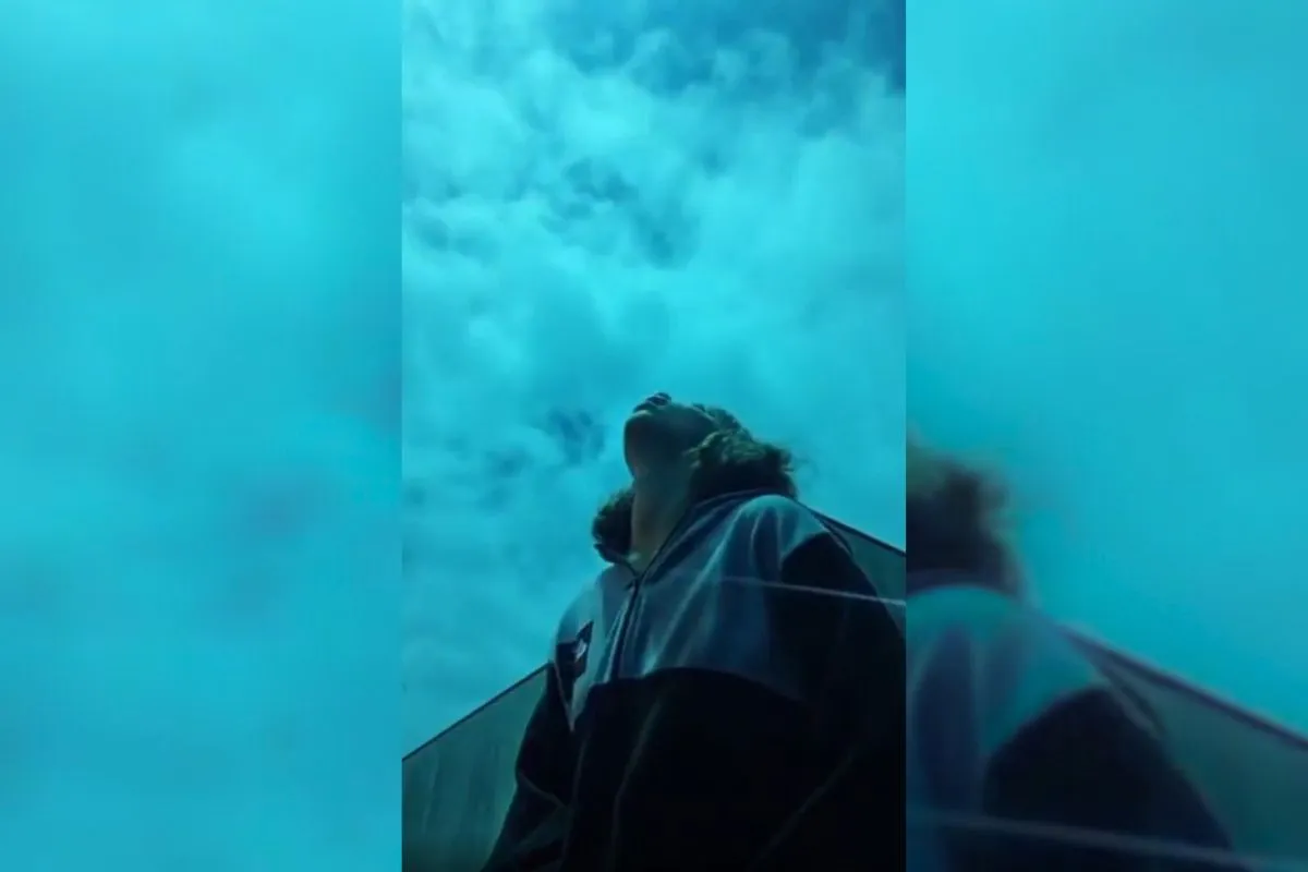 Snemala sebe in v objektiv ponesreči ujela nekaj izjemnega (VIDEO)