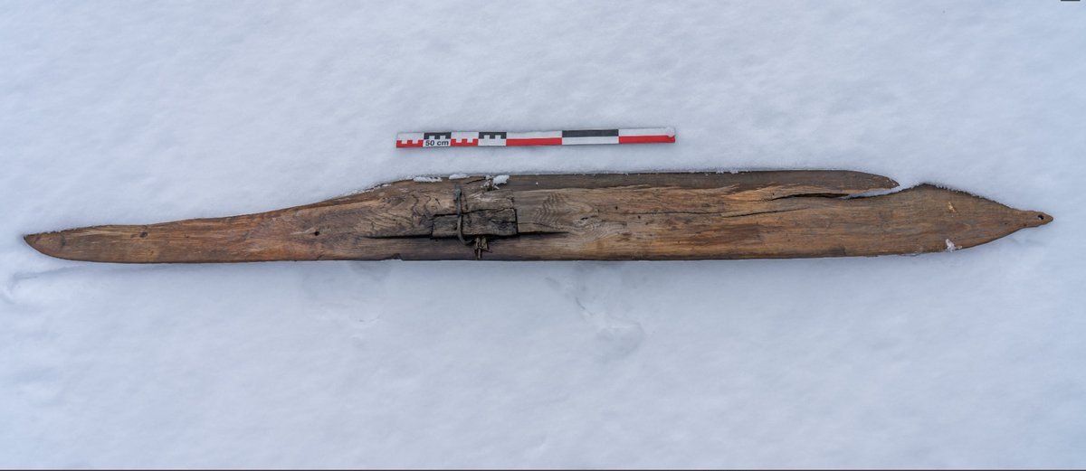 Prazgodovinska smučka (ponovno) dobila svoj par