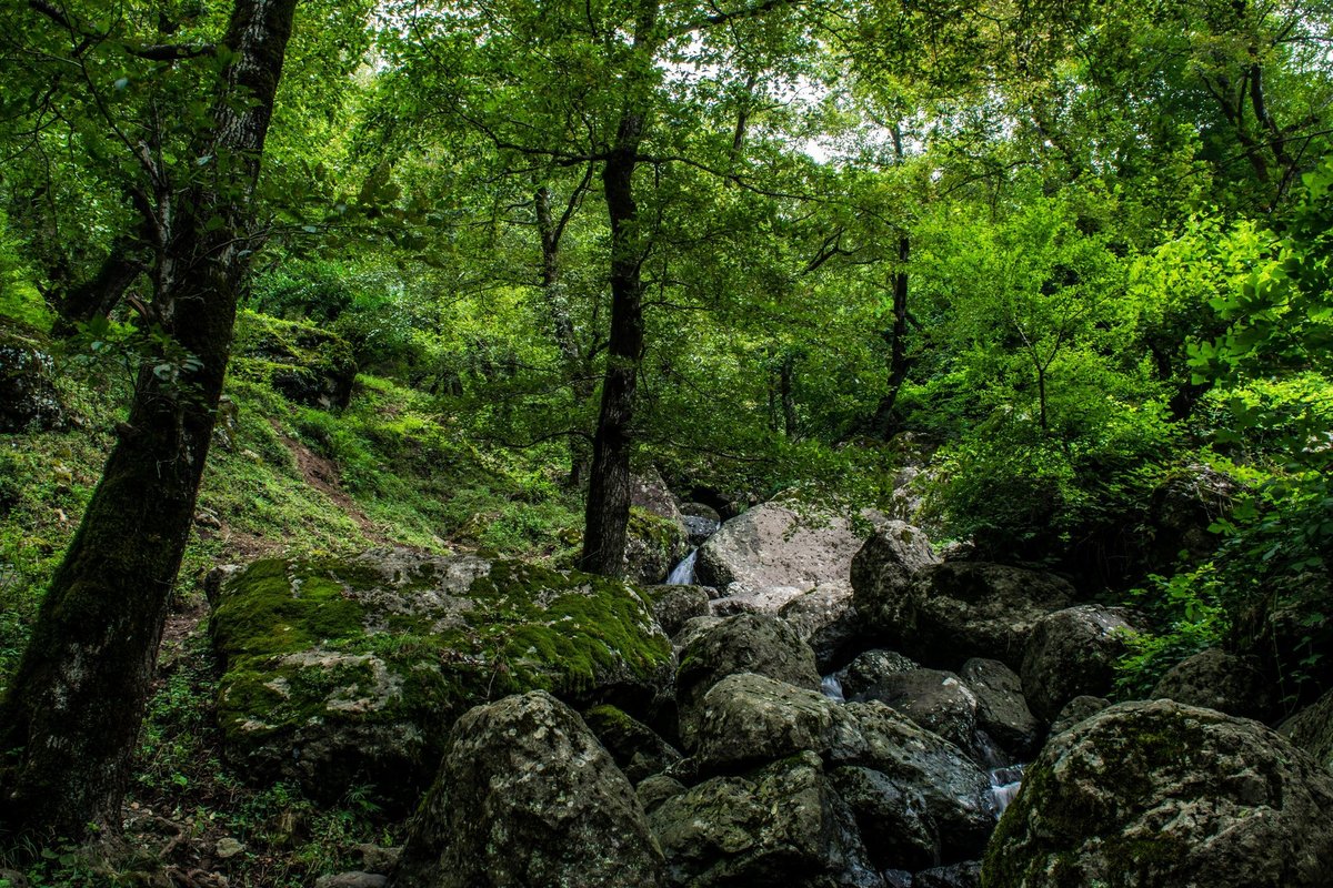 Na Tolminskem našli moško truplo