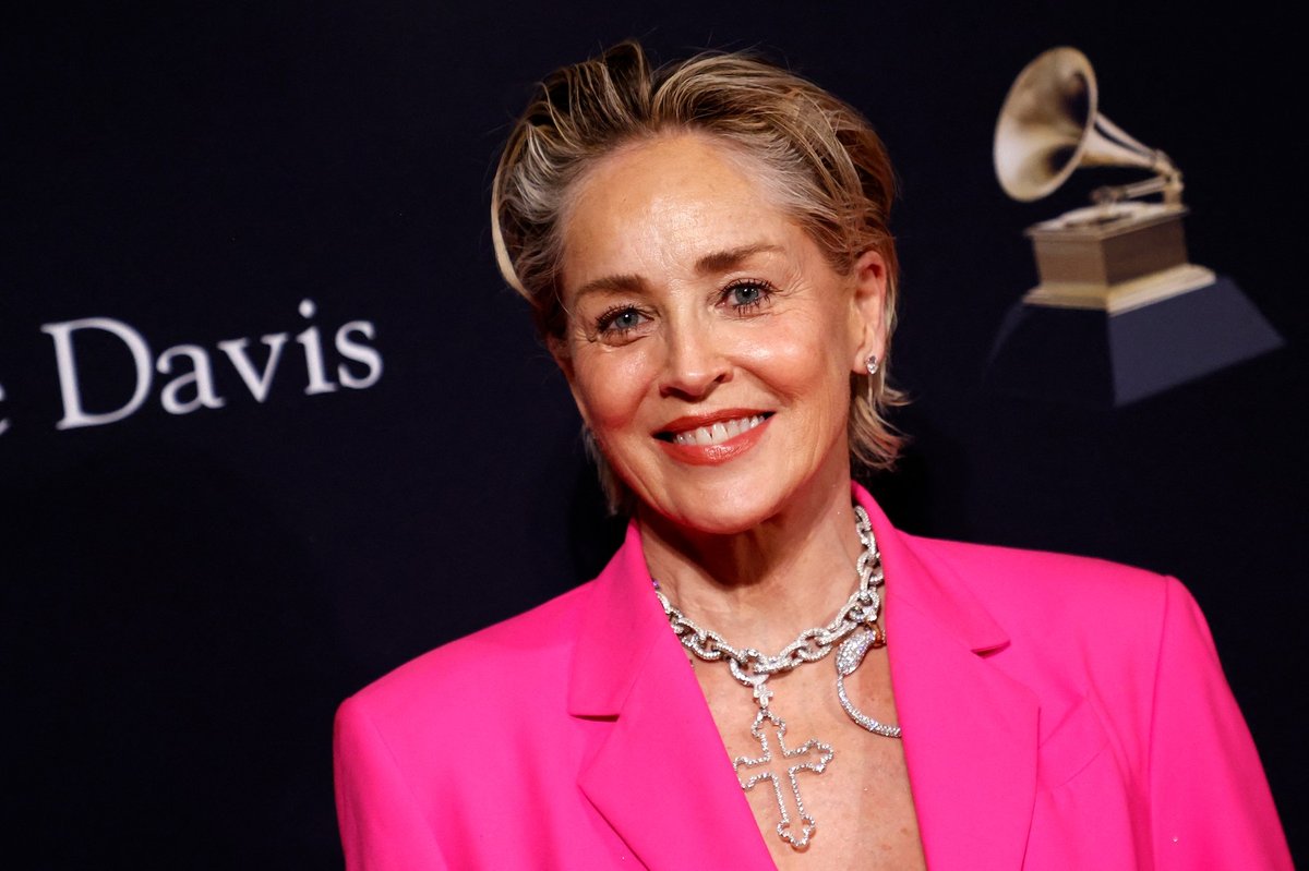Sharon Stone po filmu Prvinski nagon izgubila skrbništvo nad sinom