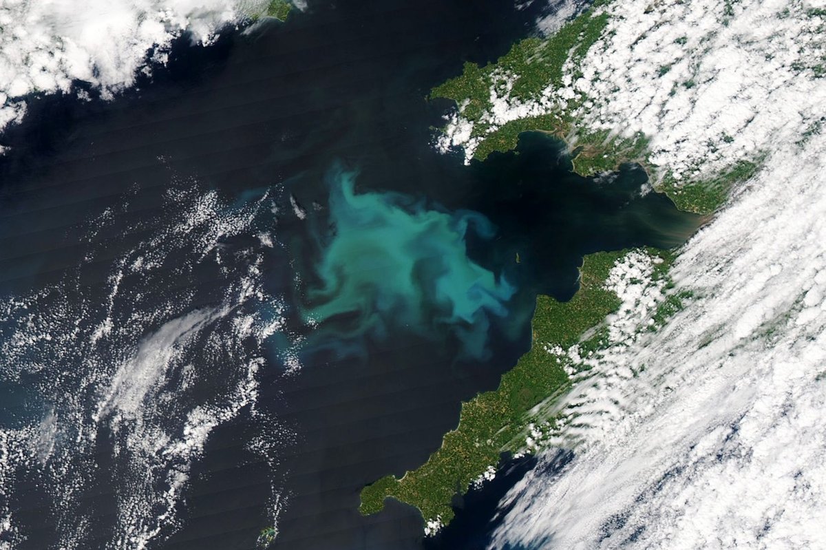 Na dnu oceana odkrili pojav, ki znanstvenike močno skrbi