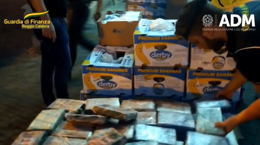 Rastoder: Najdba ni povezana z nami