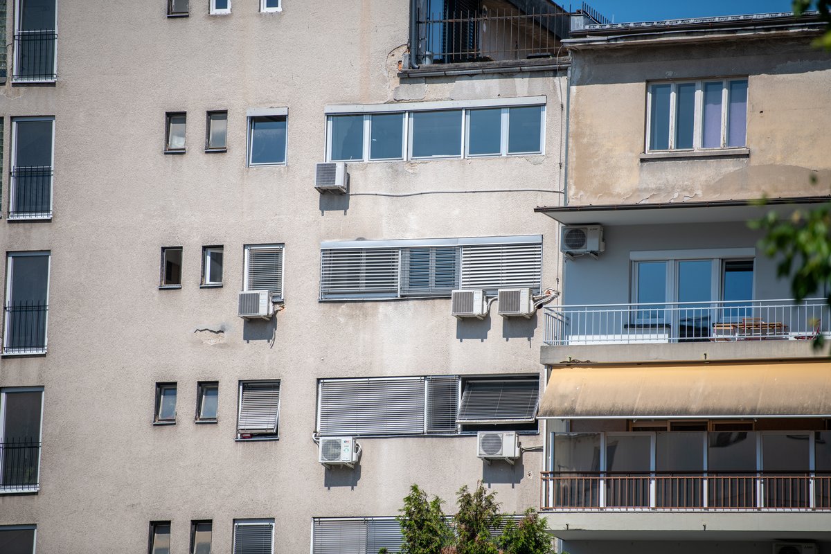 Najem na črno: kaj se zgodi, ko so ljudje "prepuščeni forumom in lastni domišljiji"