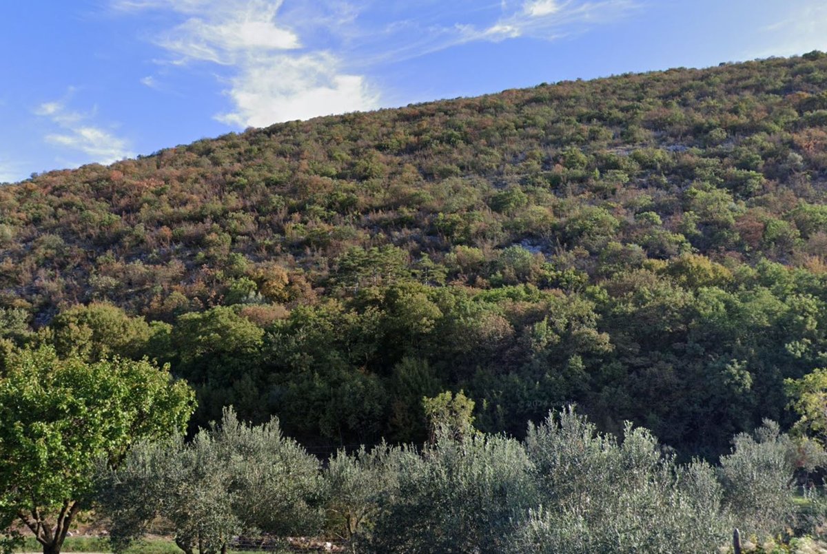 Lovec iskal srnjaka, a zagledal kolesarja. Ta se je trmasto oklepal kolesa