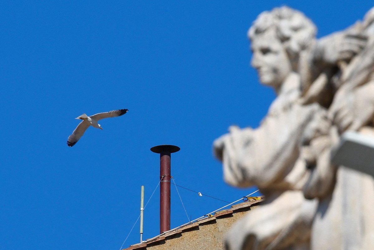 Spremljajte prenos iz Vatikana: kaj se trenutno dogaja tam