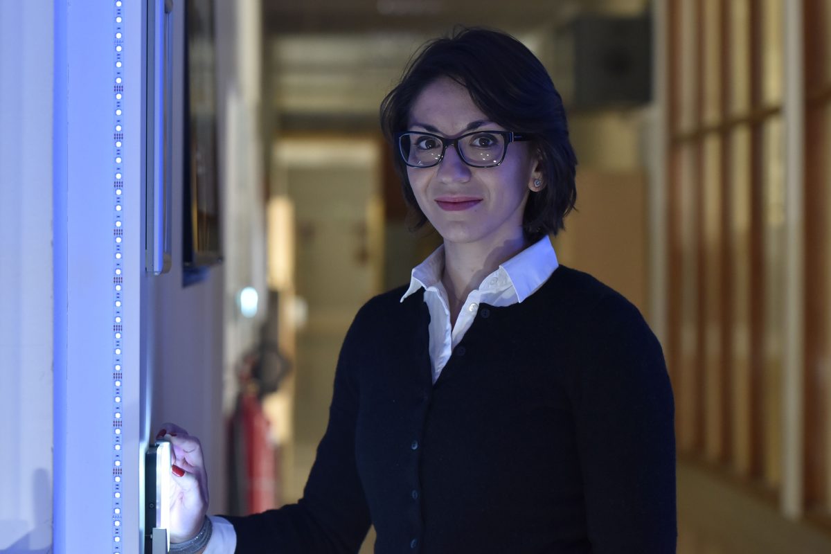 Kandidatka za ministrico za digitalno preobrazbo je Emilija Stojmenova Duh - N1