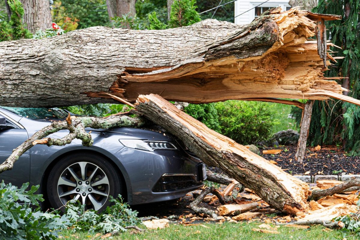 Zapeljal s ceste, trčil v drevo in umrl na kraju nesreče - N1