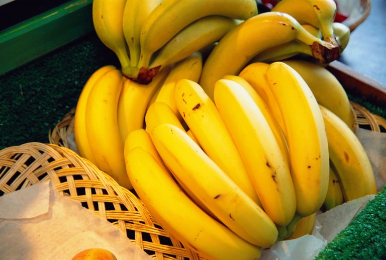 Kaj se zgodi, če v Nemčiji bananin olupek odvržete v naravo ali na ...