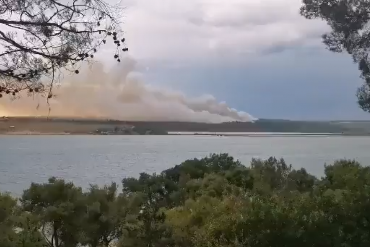 Velik požar v hrvaški Istri: gori borov gozd - N1