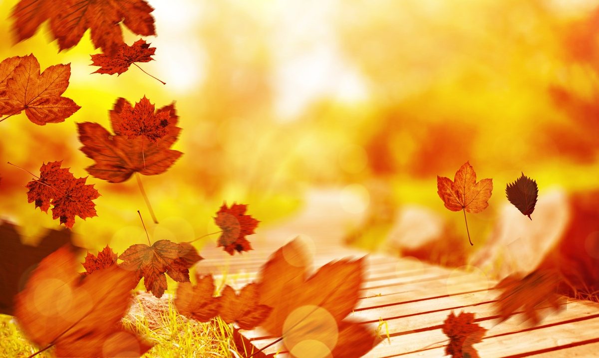 Za 3 horoskopske znake bo ta jesen zelo ugodna - N1