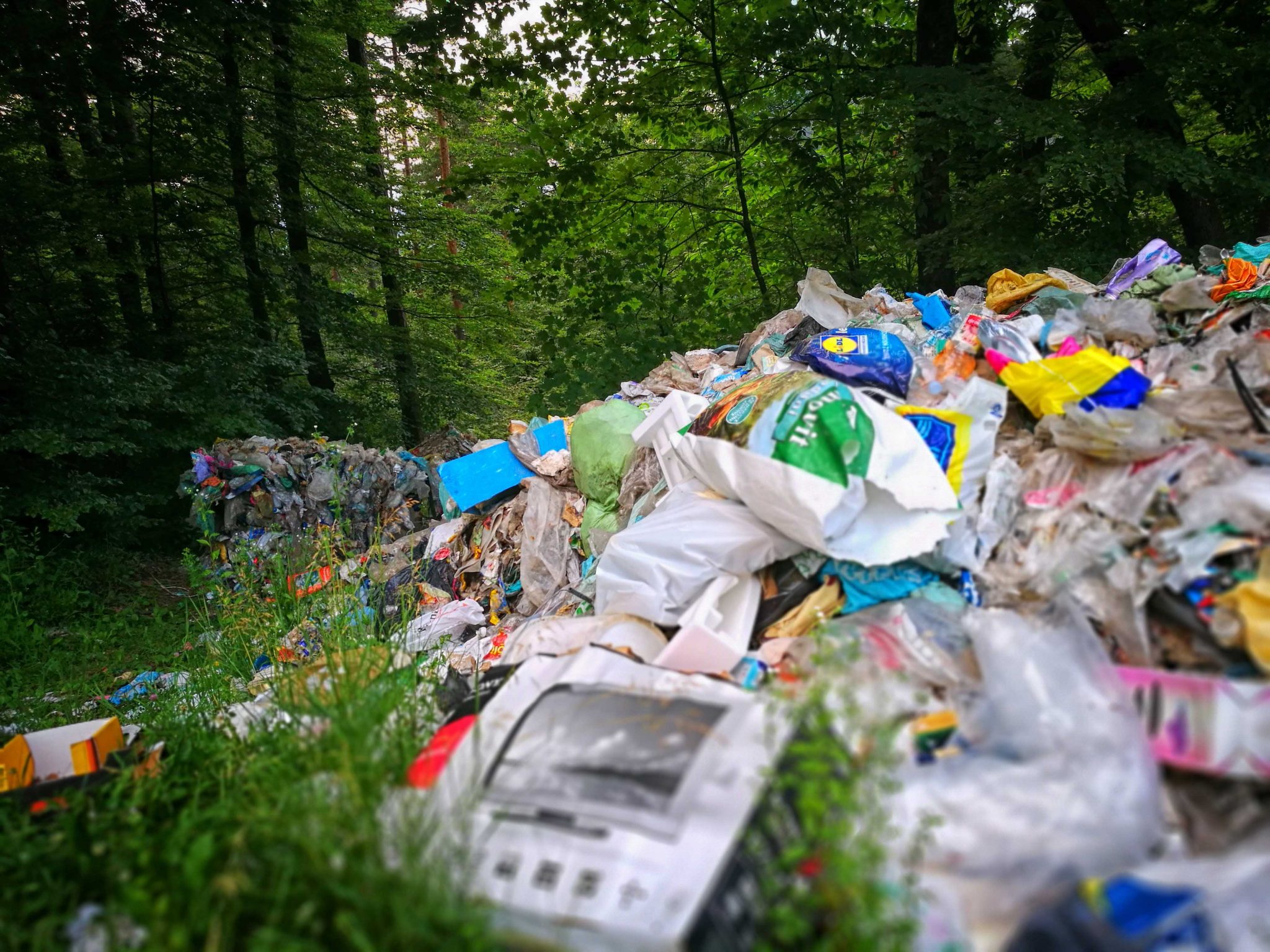 Svetovni dan čiščenja: vsakdo naj prevzame svoj del odgovornosti - N1