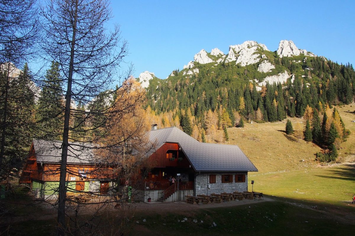 Zelenica - raj pod severnimi meljišči Begunjščice - N1