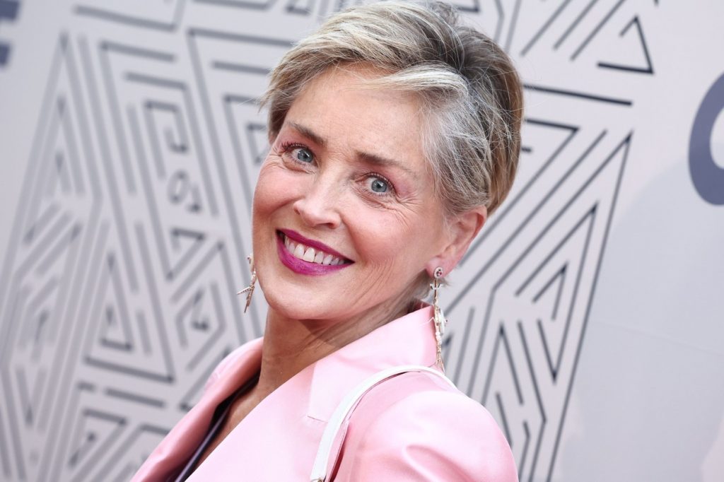 Sharon Stone po filmu Prvinski nagon izgubila skrbništvo nad sinom - N1