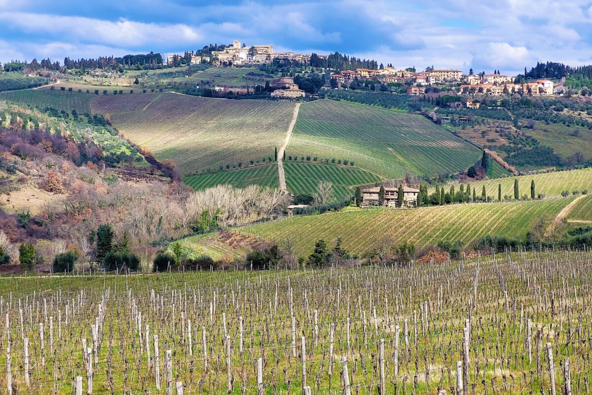 Mesta, gradovi in vinogradi edinstvene vinske pokrajine v Toskani - N1
