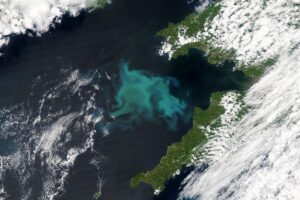 Na dnu oceana odkrili pojav, ki znanstvenike močno skrbi - N1