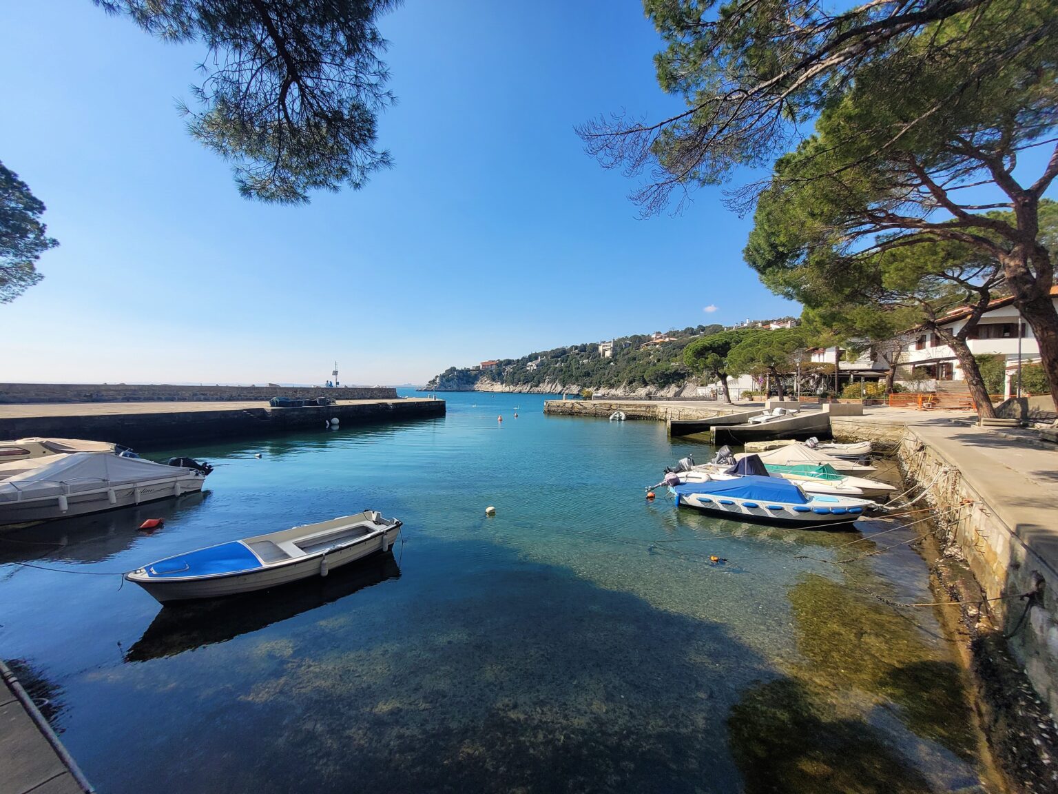 Pot z najlepšimi razgledi na Tržaški zaliv: "Biti tukaj je čudež ..." - N1