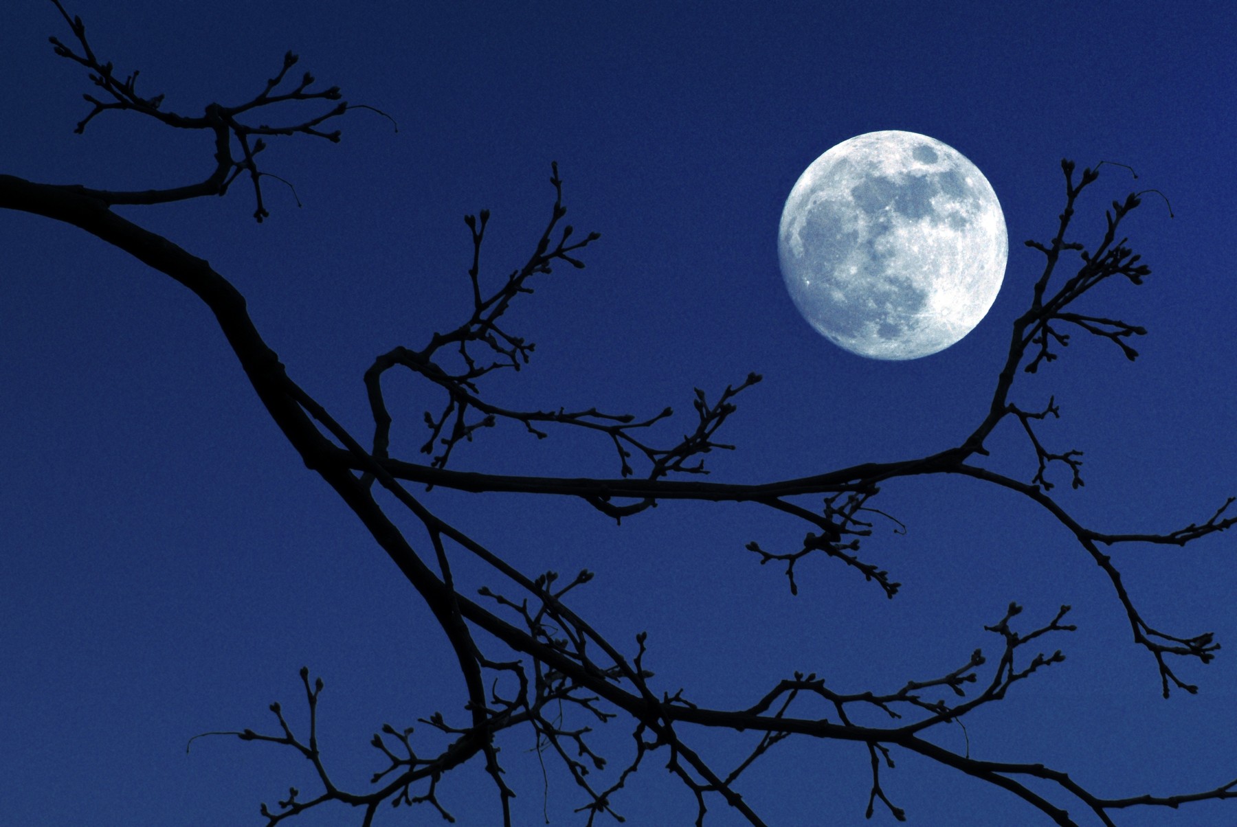 Prihaja majska polna luna - N1