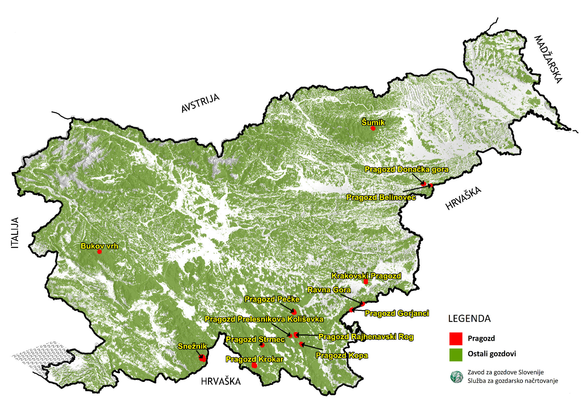 Slovenski pragozd od blizu: skrivnost smrti, ki pomeni življenje - N1