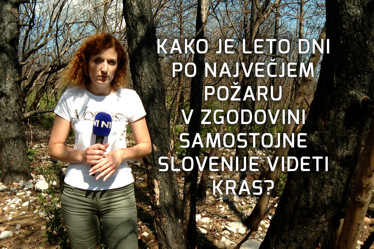 Kras: kaj je po letu dni drugače? (VIDEO) - N1