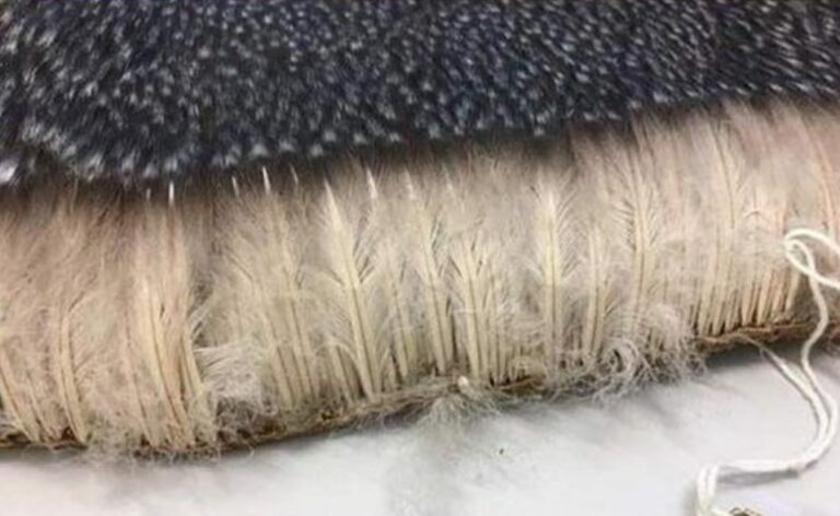 Uganete, kaj je na fotografiji? - N1