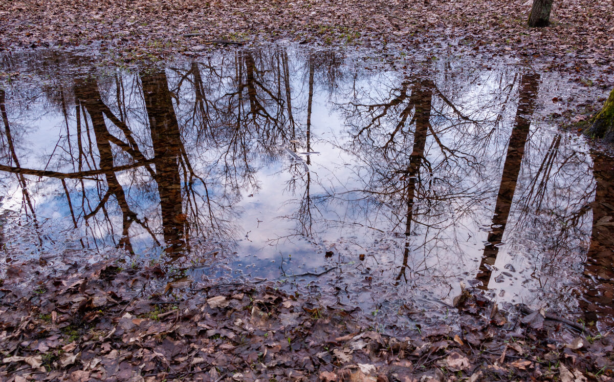 Padavine se za kratek čas poslavljajo - N1