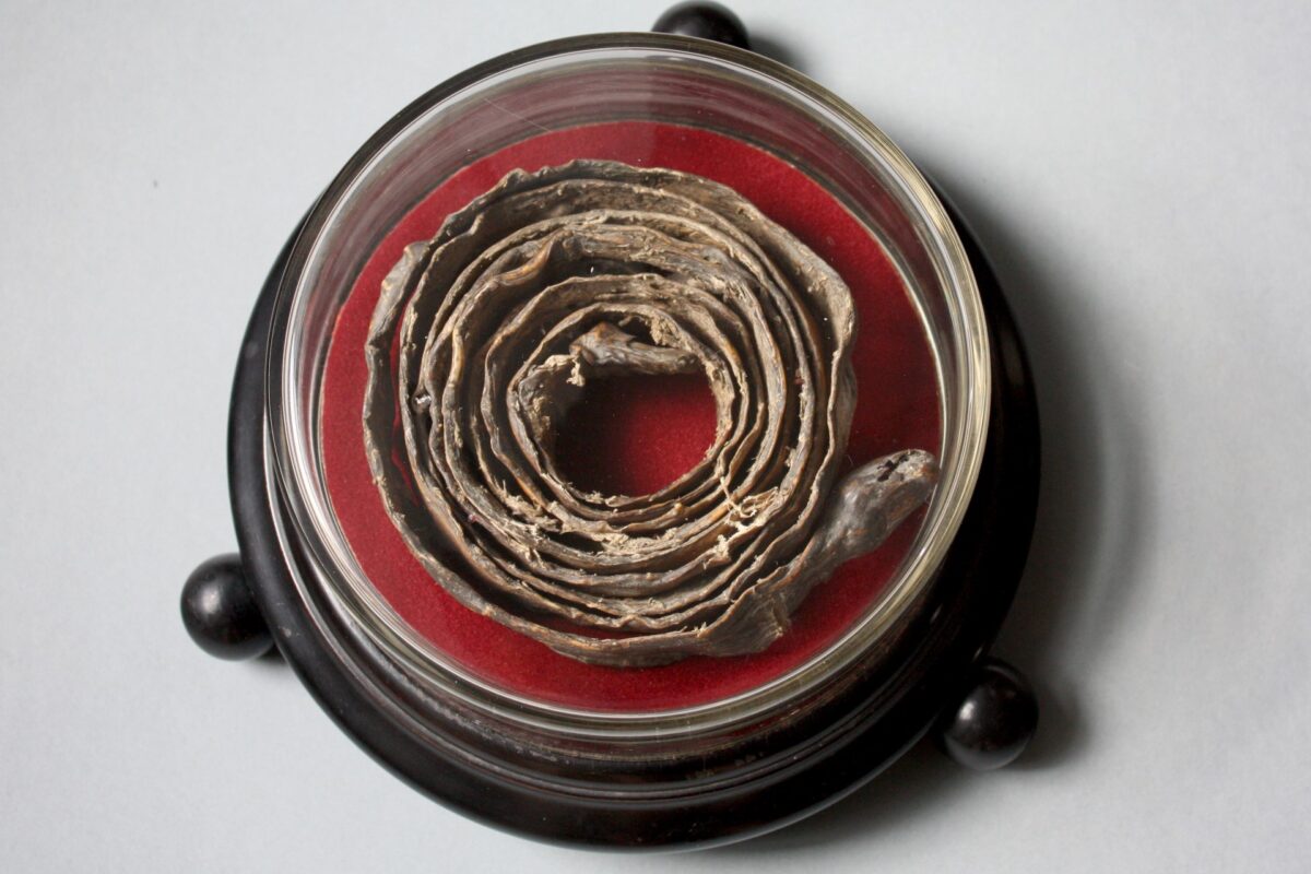 Nenavaden predmet v celjskem muzeju: po osamosvojitvi pozivi, da bi ga ...