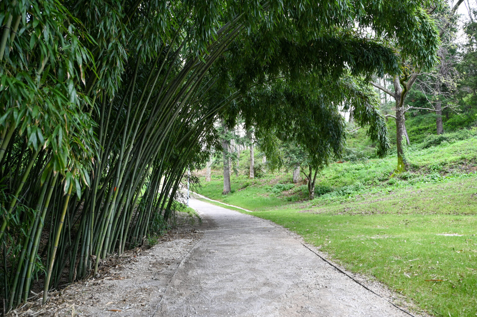 Novogoriški eksotični biser po več kot 20 letih spet odprt za ...