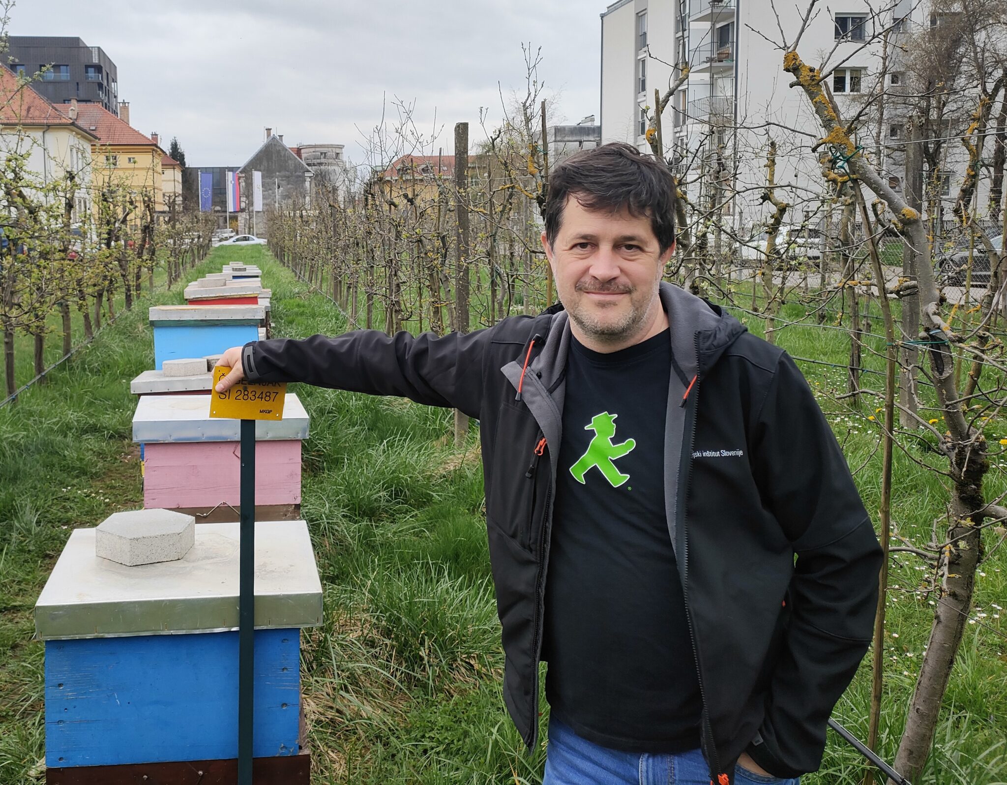 "Naravno gostoto čebel presegamo za 20-krat" - N1