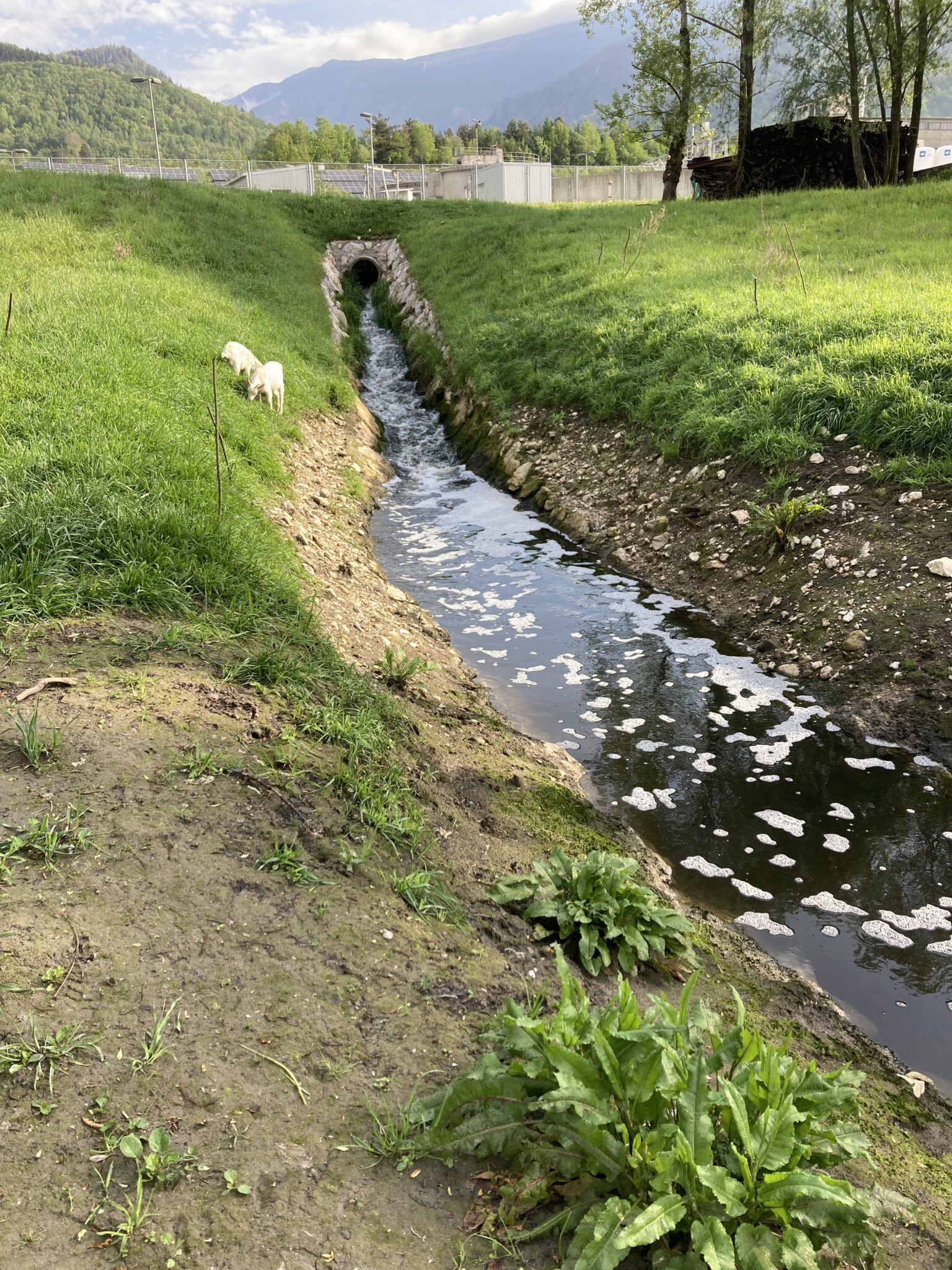 Črn madež na smaragdni reki: res "naravni pojav" ali je kriva čistilna ...