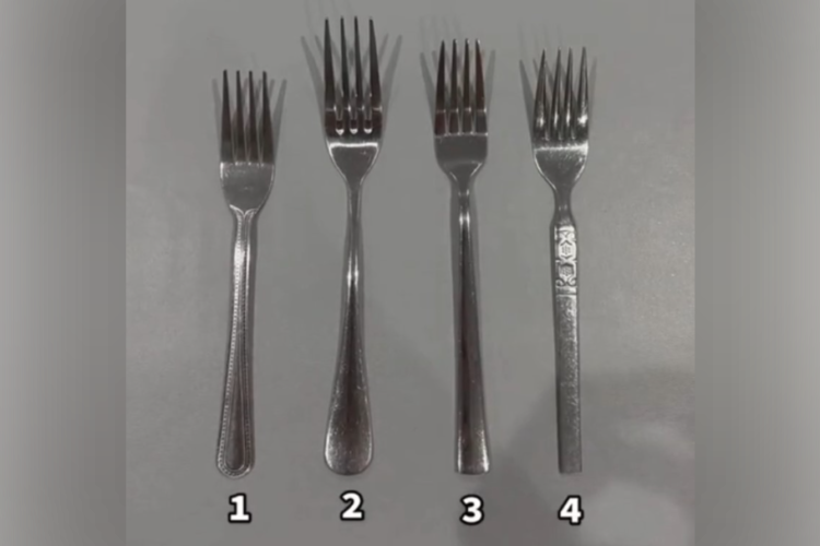 Kaj se zgodi, če vsak dan zjutraj pojemo tri suhe slive - N1