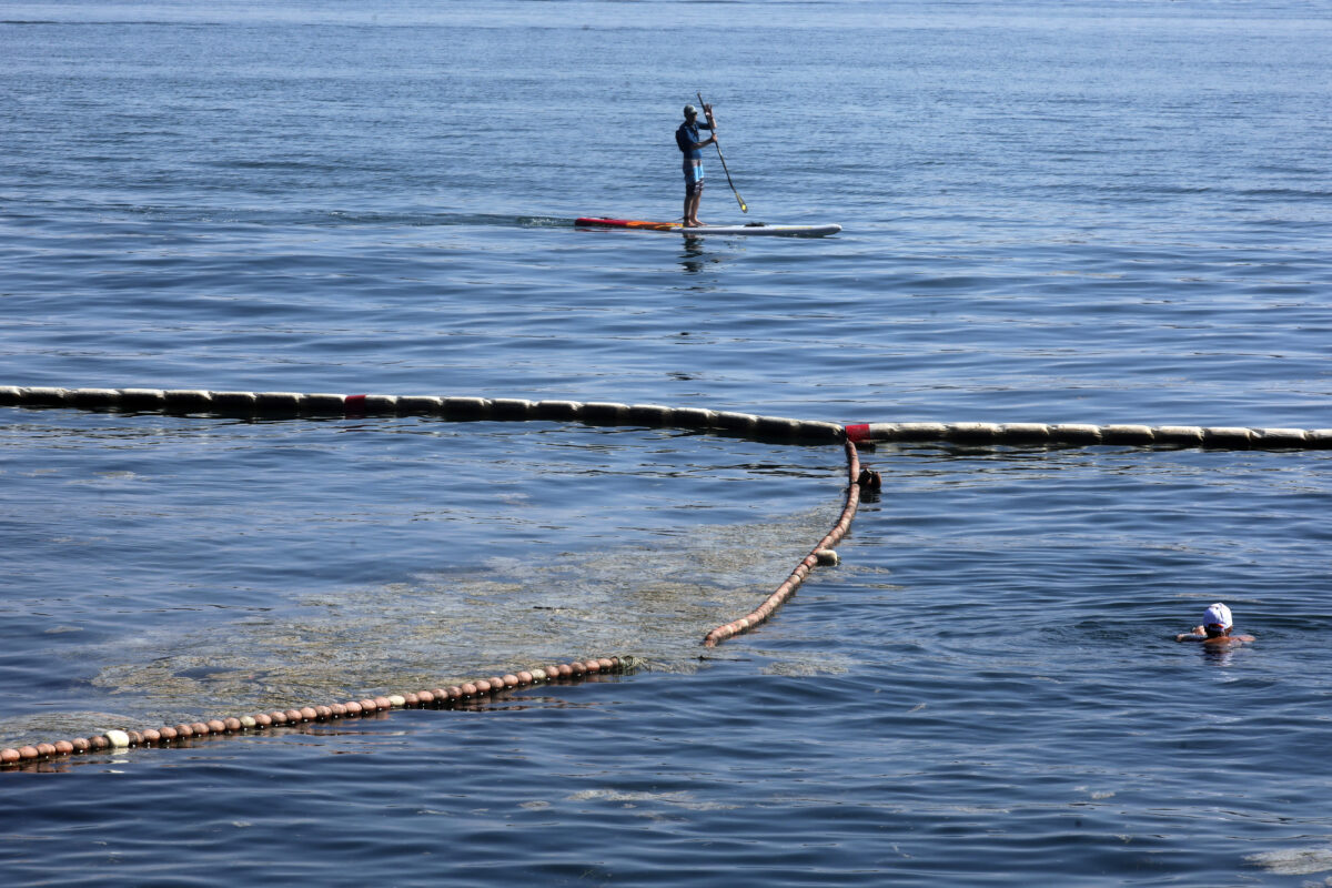 Je slovensko morje primerno za ohladitev ali je še vedno polno sluzi? - N1